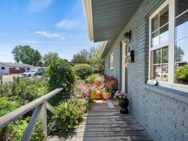 1137 Phelps Dr