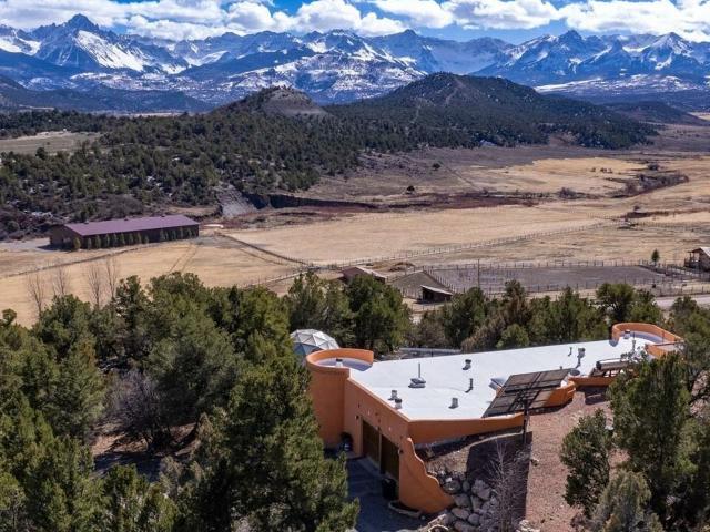 1137 Pleasant Point Dr, Ridgway, CO