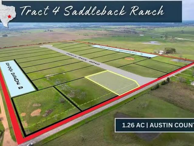 1137 Saddleback Dr, Bellville, TX 77418 MLS 39554637