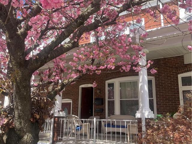 1137 W Green Street