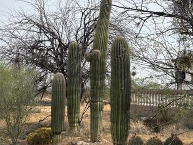 11380 W Valencia Rd, Tucson, AZ 85735