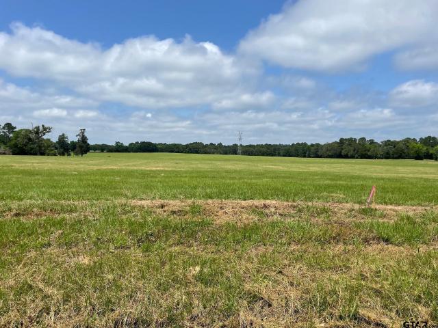 11380 Cr 4128 Lindale Tx 75771, Lot 2A, Lindale, TX 75771 | MLS #25008
