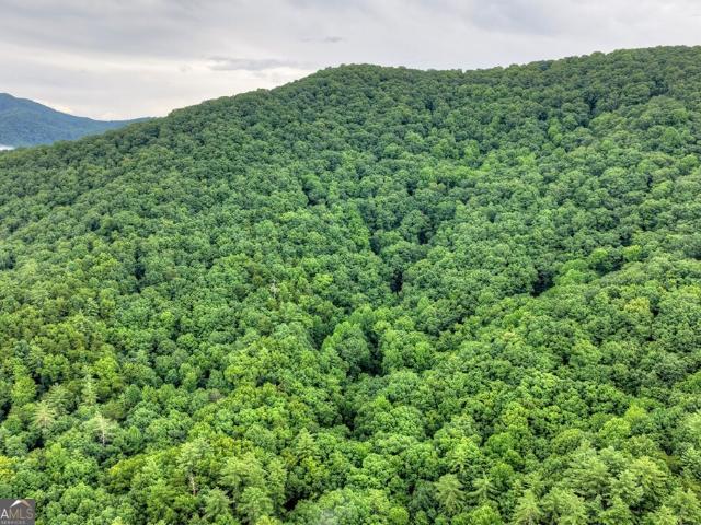 1138 Douglas Mountain Trail