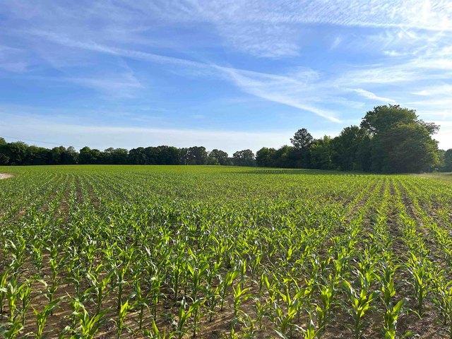 1138 Hwy, Bolivar, TN 38008