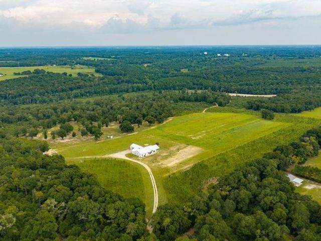 1138 Power Dam Rd, Newton, AL 36352