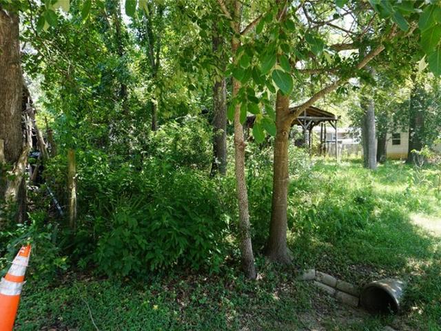 11397 Underwood St, Willis, TX 77318