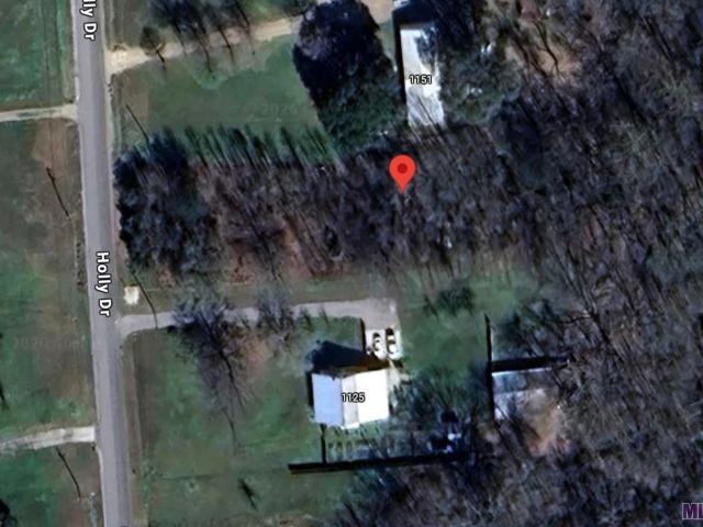 1139 Holly Dr, Slaughter, LA 70777 | MLS #BR2026001 | Compass