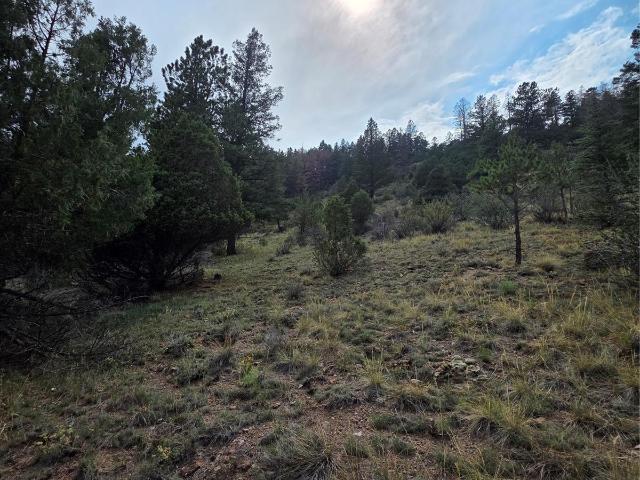 1139 Rio Grande Club Trail