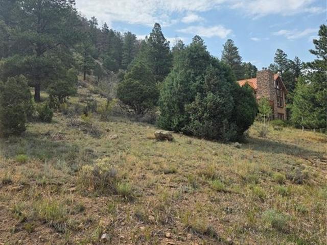 1139 Rio Grande Club Trl Lot 60, South Fork, CO 81154