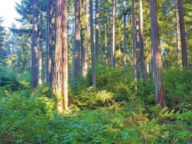 11302 th St Lot 176, Anderson Island, WA 98303