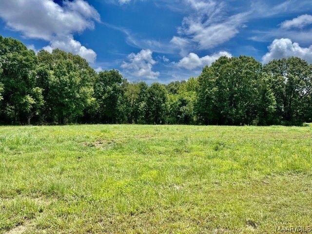1130 Jackson Lake Rd, Millbrook, AL 36054