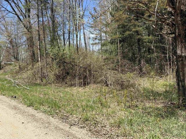 11310 W Rosebush Rd, Weidman, MI 48893
