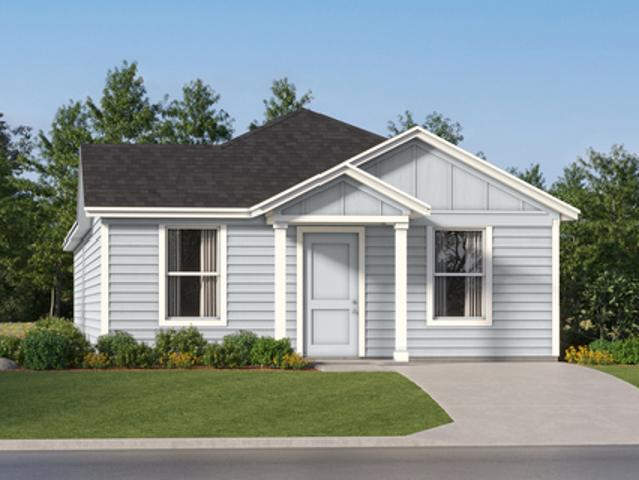 11311 Evergreen Rose