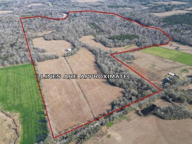 11311 Port Hudson Pride Rd, Zachary, LA 70791
