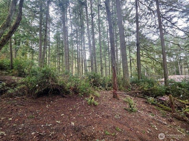 11312 Yoman Rd Lot 126, Anderson Island, WA 98303