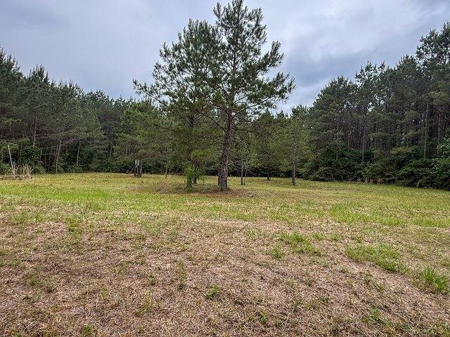 1131 Big Woods Rd, New Waverly, TX 77358