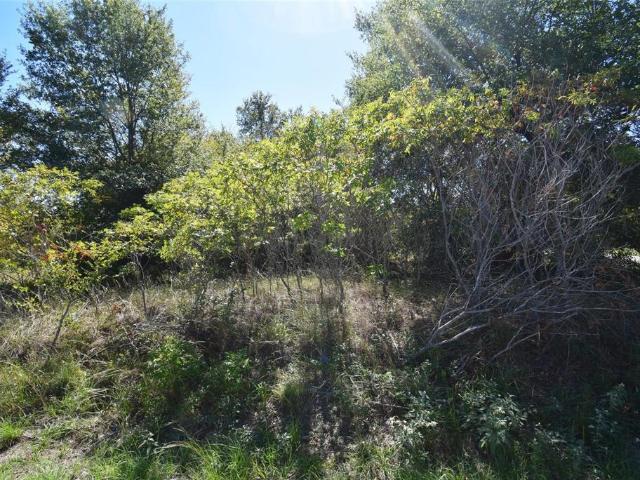 1131 Bora St, Tool, TX 75143 | MLS #21139