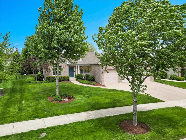 1131 Clearwater Drive