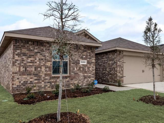 1131 Elijah Way