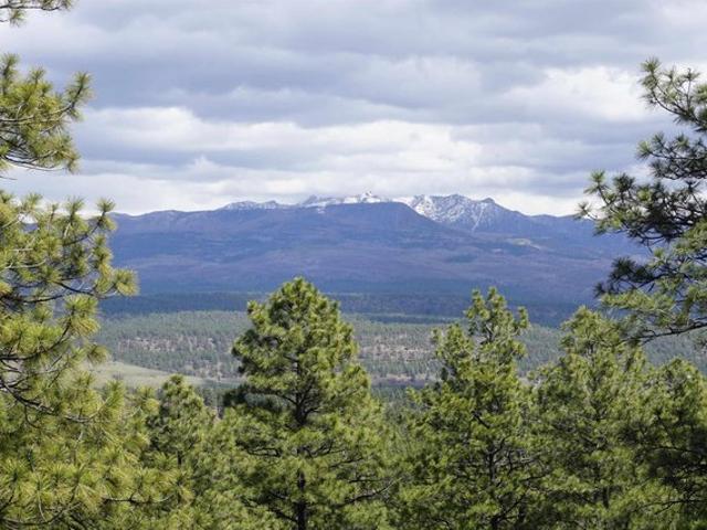 1131 Lodge Pole Dr, Pagosa Springs, CO 81147
