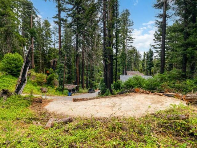 1131 Rambling Road