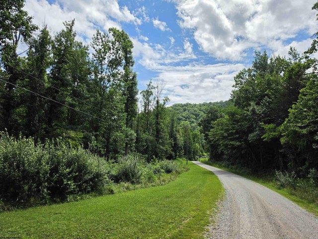 1131 Sisson Ter, Charleston, WV 25320