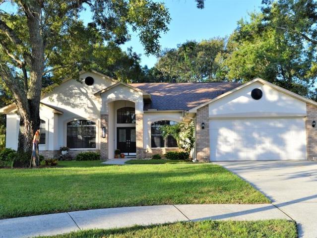 1131 Wedge Way, Spring Hill, FL 34608