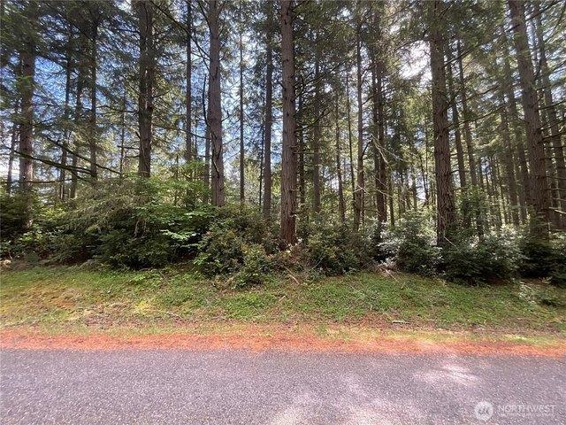 11321 Lake Josephine Ave Lot 69, Anderson Island, WA 98303