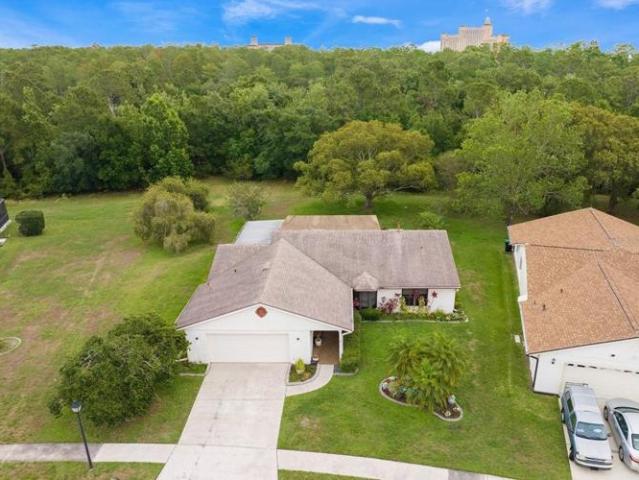 11321 Scenic View Ln, Orlando, FL 32821