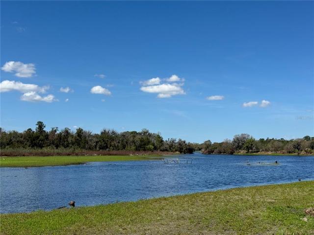 11325 Hidden Valley Ln, Riverview, FL 33569 | MLS #TB8463