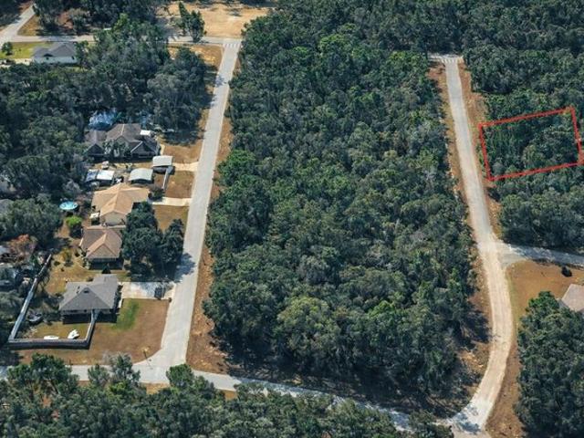 11328 N Cathy Ter, Dunnellon, FL 34434