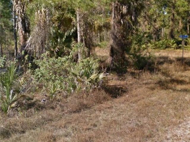 1132 Coons St, Lehigh Acres, FL 33974 | MLS #225029 | Compass