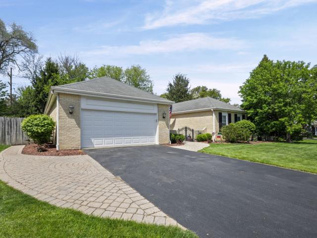 1132 Pine Tree Lane