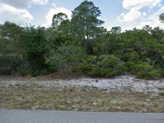 1132 Wildflower St, Lake Placid, FL 33852