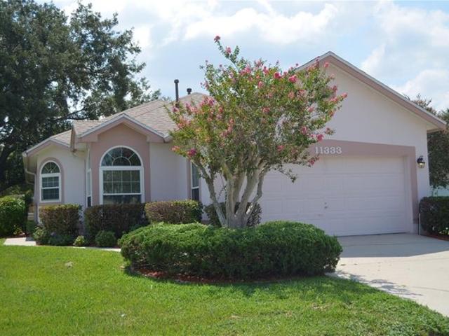 11333 Pink Blossom Ct, Orlando, FL 32821
