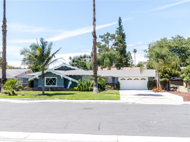11337 Royal Palm