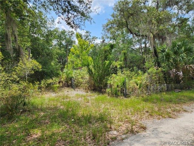 11335 N Ginny Lane Pt, Inglis, FL 34449