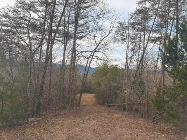 1133 Macedonia Martin Gap Road