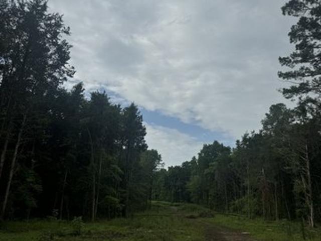 1133 Milltown Rd, Lewisburg, TN 37091