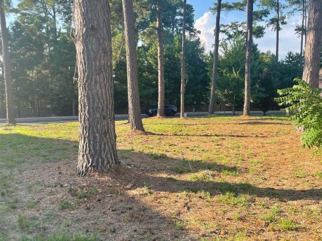 1133 Gardenwood Dr, Tyler, TX 75703 | MLS #25012 | Compass