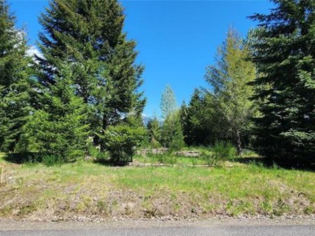 113 Cottonwood Ln Lot 10, Packwood, WA 98361