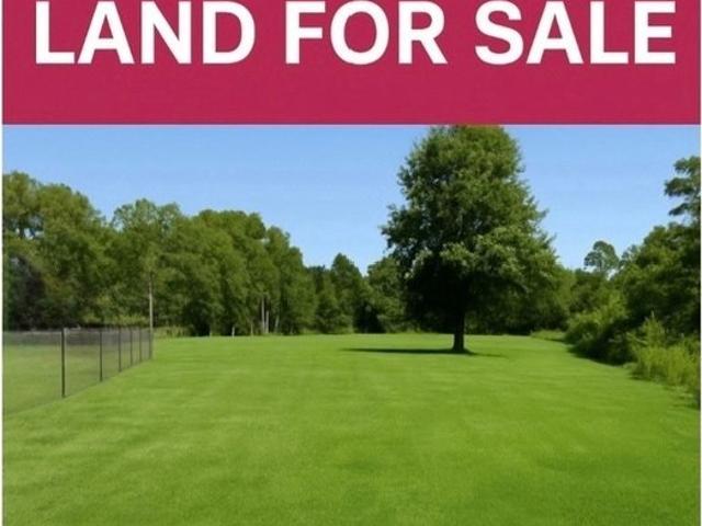 113 County Road 5019, Cleveland, TX 77327