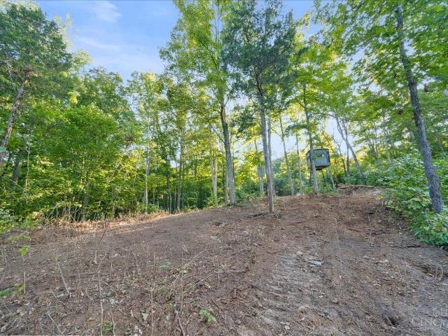 113 acres Waggoner Riffle Road