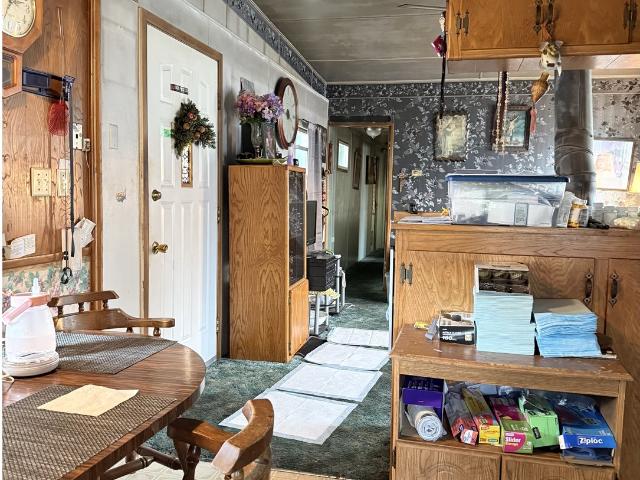 113 balder ln