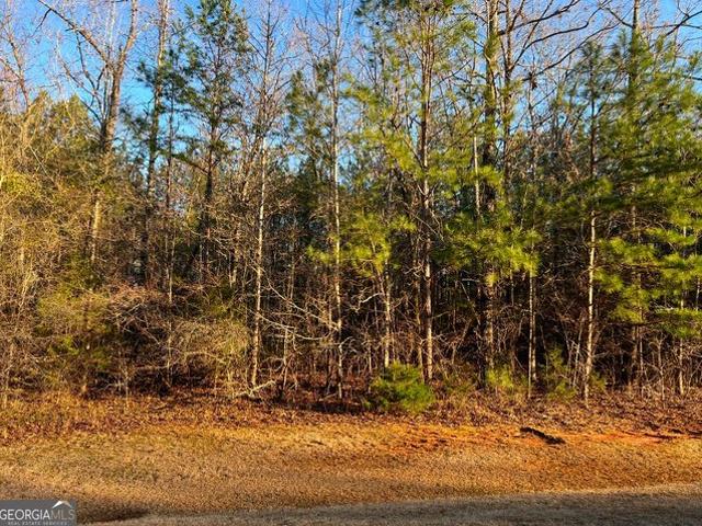 113 Garden Dr, Forsyth, GA 31029