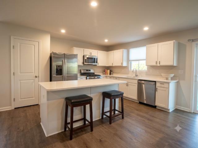 113 Dominic Dr