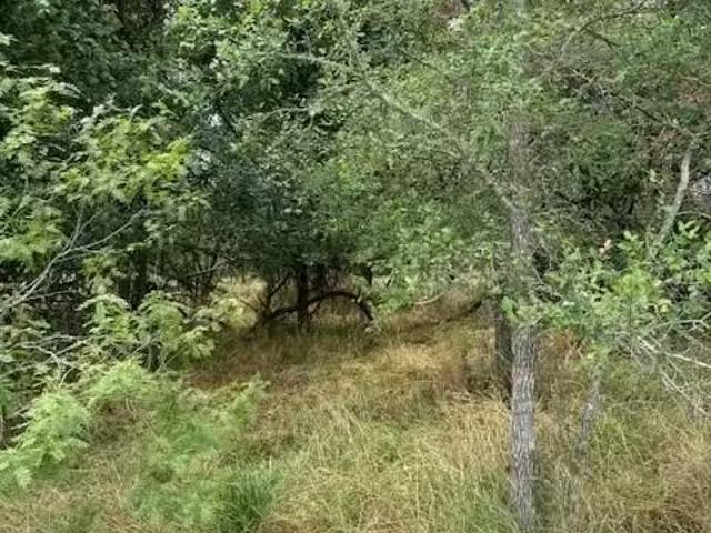 113 E Keomuku Ln, Bastrop, TX 78602