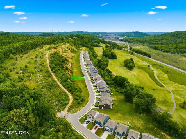 113 Harbour Pointe Lane