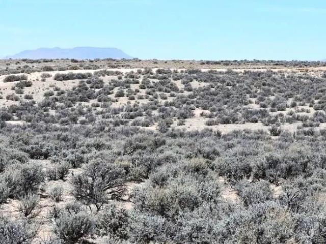 113 lots Sports Valley Estates