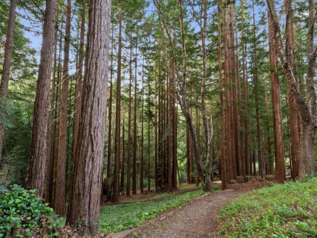 113 Lauren Cir, Scotts Valley, CA 95066 | MLS #ML82048